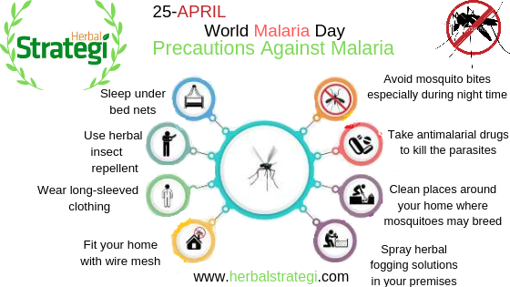 World Malaria Day 2019 - How To Prevent The Spread Of Malaria? – Herbal Strategi