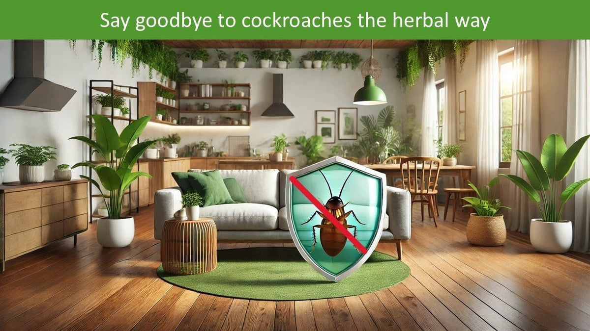 Exploring a safer approach to Cockroach Control – Herbal Strategi