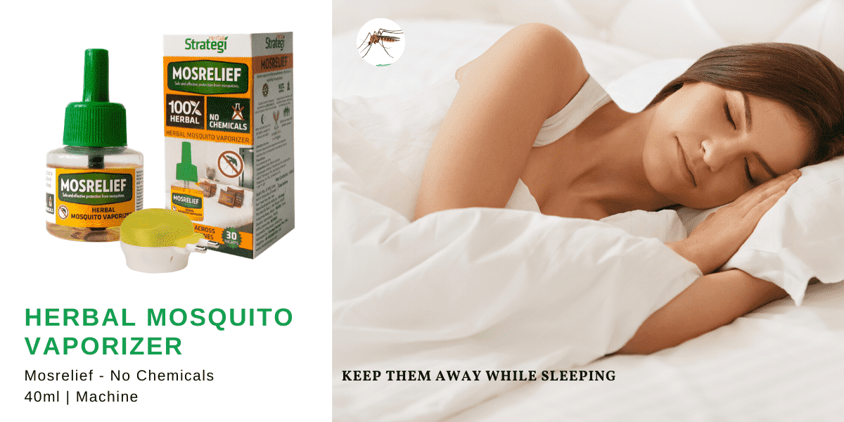 Indoor Mosquito Control, Safest Methods – Herbal Strategi