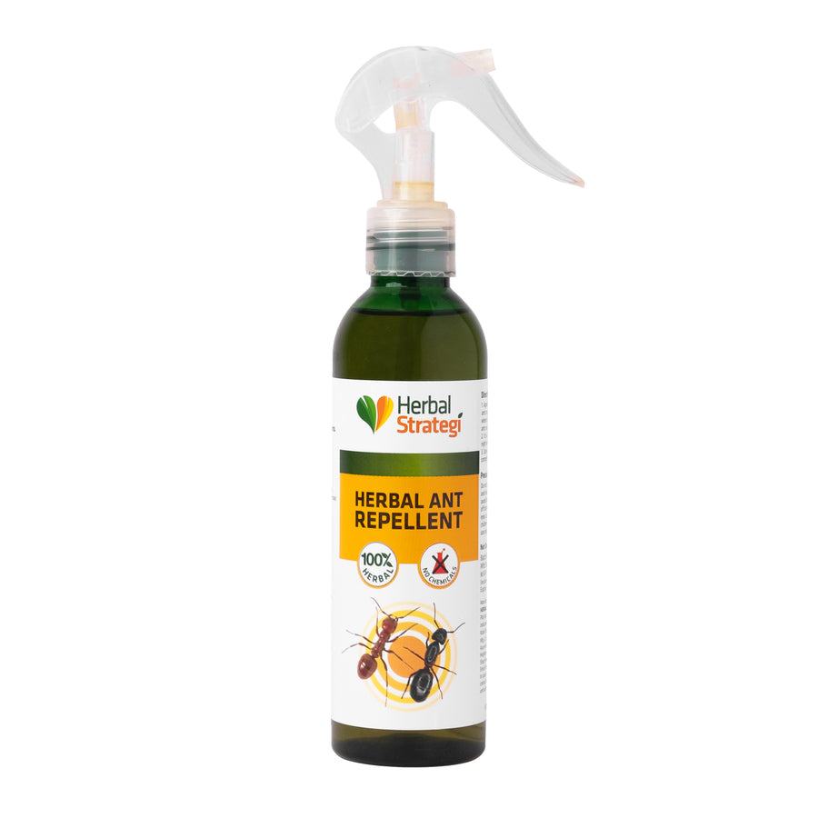 Buy Insect Repellents Online In India – Herbal Strategi